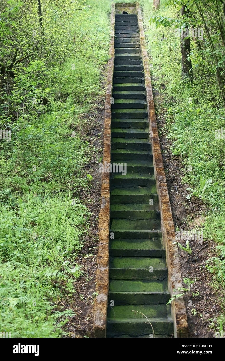 Green stairs hi-res stock photography and images - Alamy