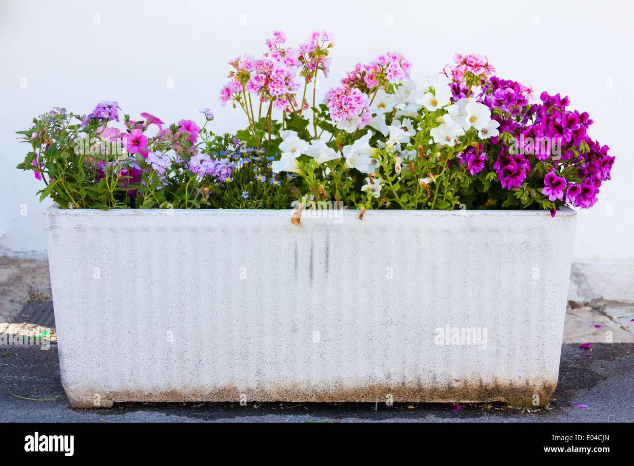 A big, white pot full of flowers in a mediterranean village Stock Photo ...