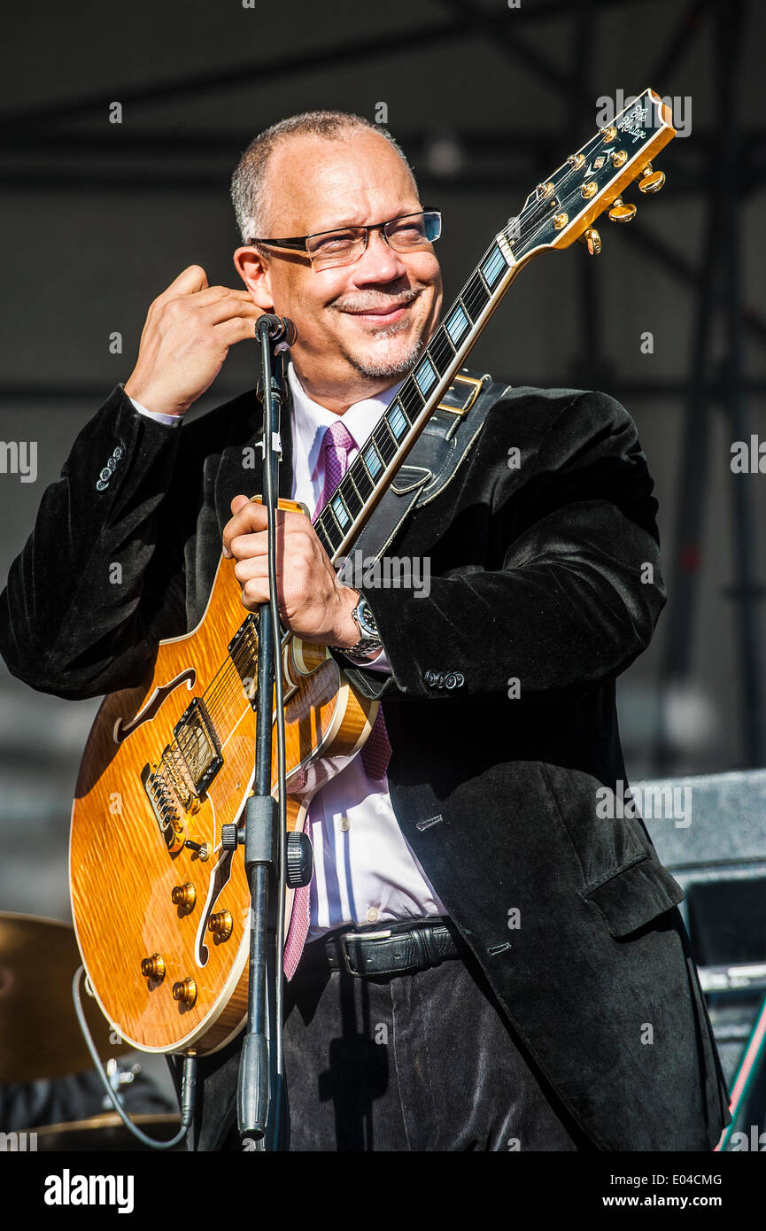 Master of the castello hi-res stock photography and images - Alamy