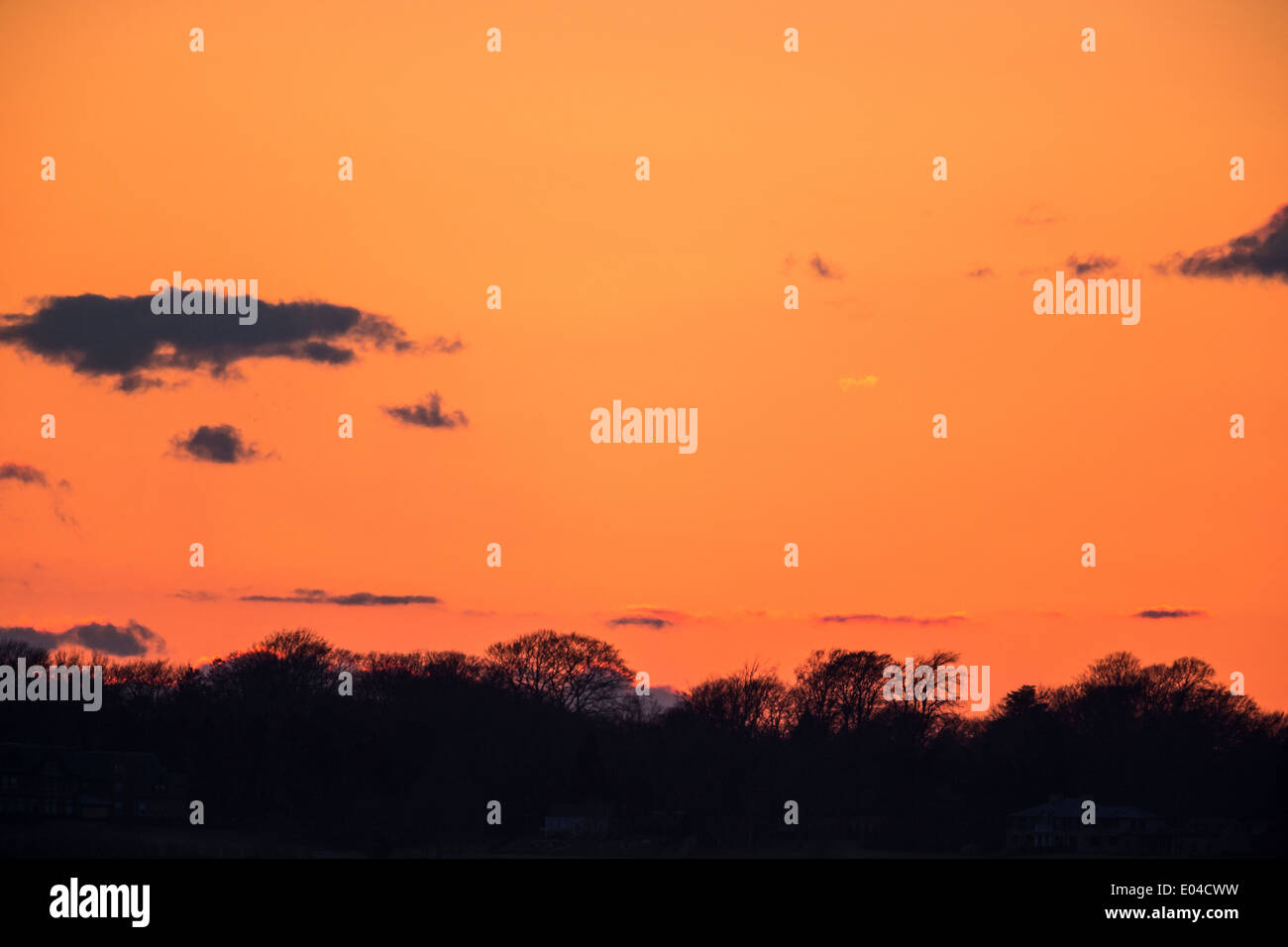 Teleconverter hi-res stock photography and images - Alamy