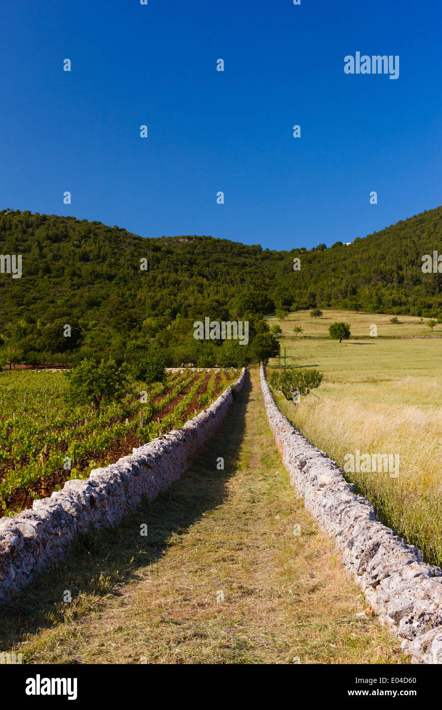 A idyllic rural scene taken in the extreme south of Italy Stock Photo ...