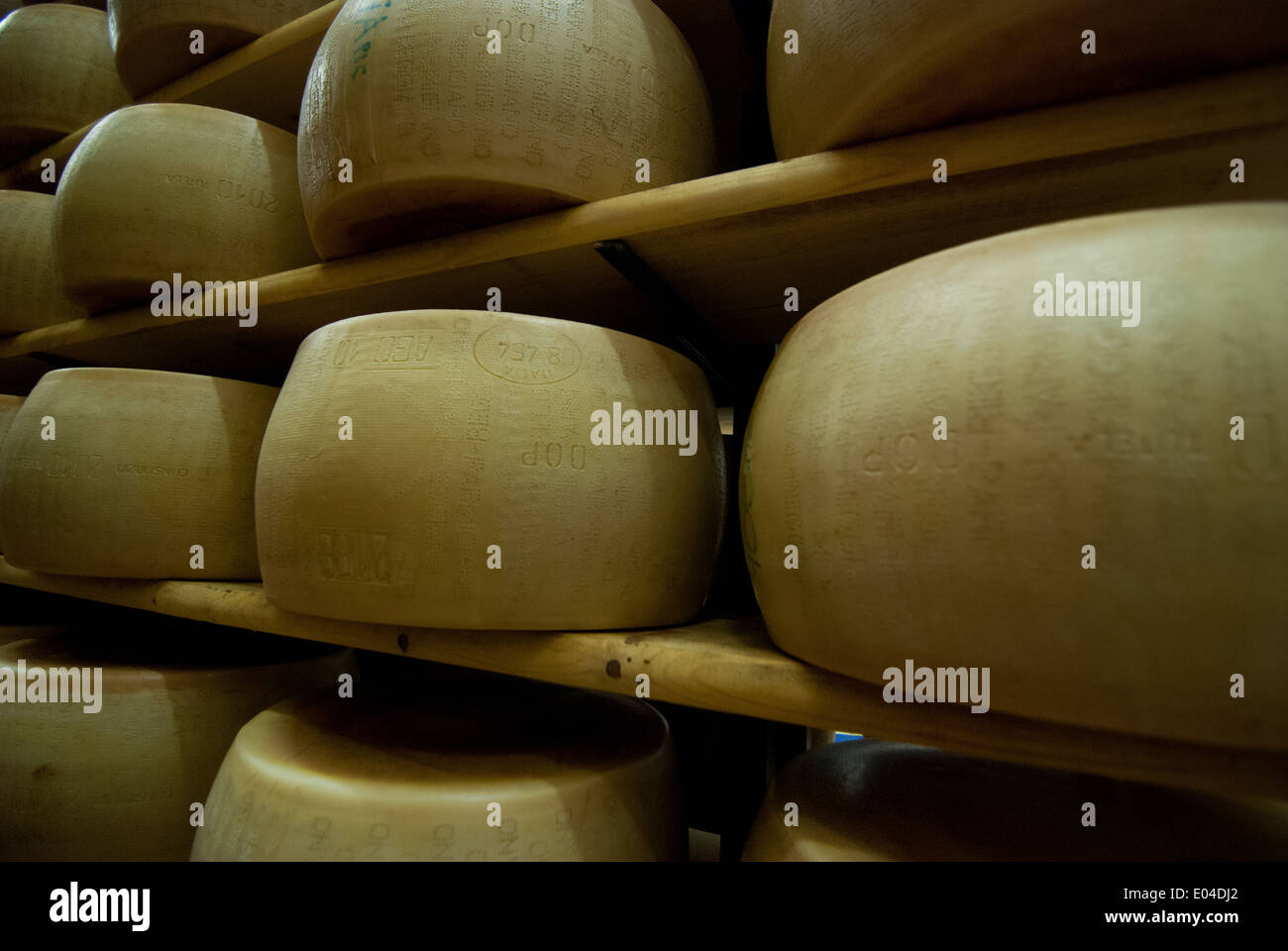 Parmigiano reggiano manufacturing hi-res stock photography and images ...