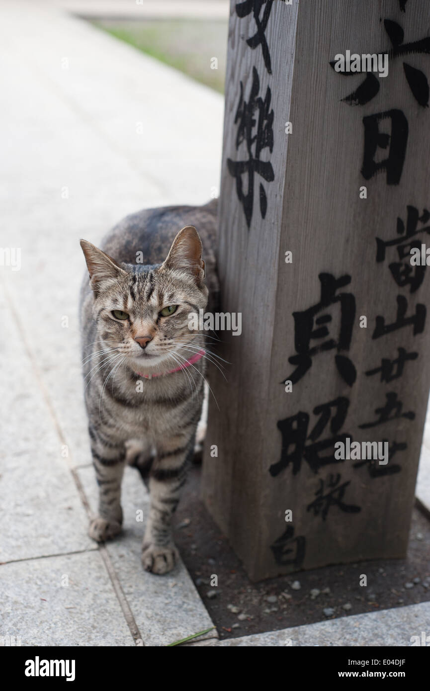 Discovery of tokyo hi-res stock photography and images - Alamy