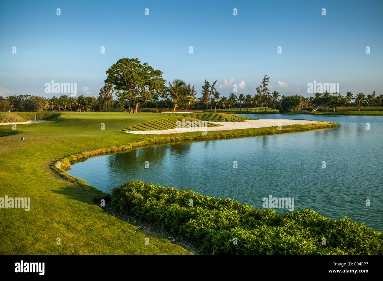 Tropical golf course at sunset, Dominican Republic, Punta Cana Stock ...