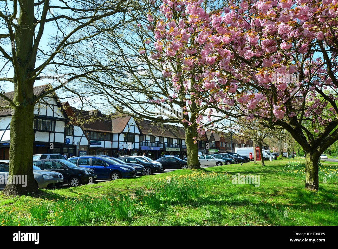 Station Approach in spring, Virginia Water, Surrey, England, United ...
