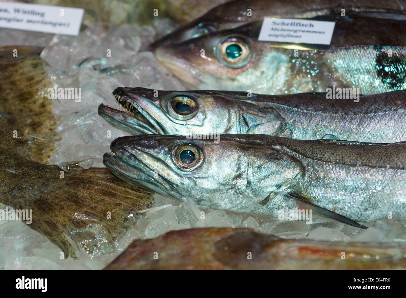 Chilled Fish High Resolution Stock Photography and Images - Alamy
