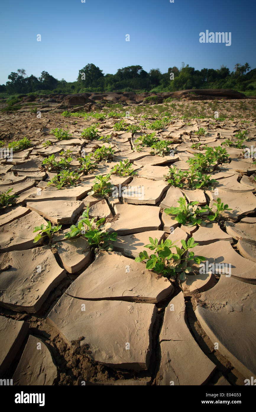 Dry soil texture on the ground Stock Photo - Alamy