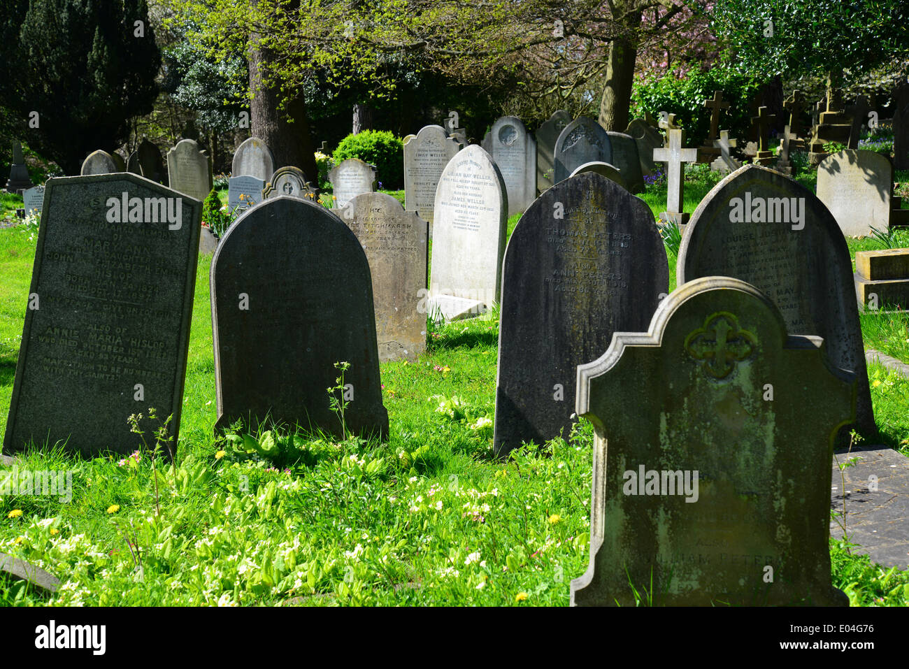 Ancient headstones in churchyard of The Parish Church of St Giles ...