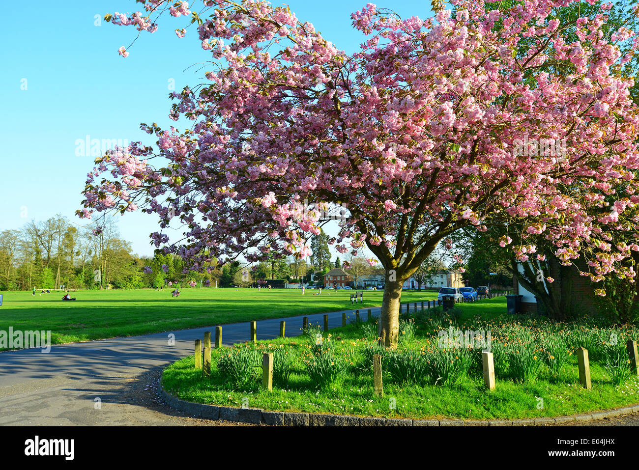 The Green in spring, Englefield Green, Surrey, England, United Kingdom ...