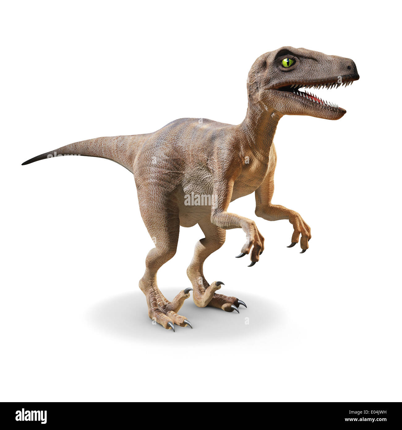 Velociraptor hi-res stock photography and images - Alamy