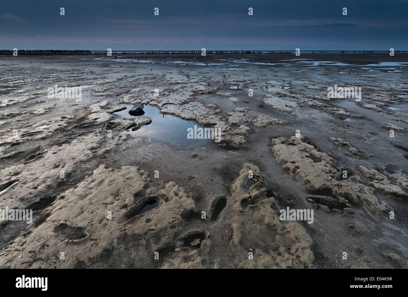 mud on coast during low tide in Nirth sea, Friesland, Netherlands Stock ...