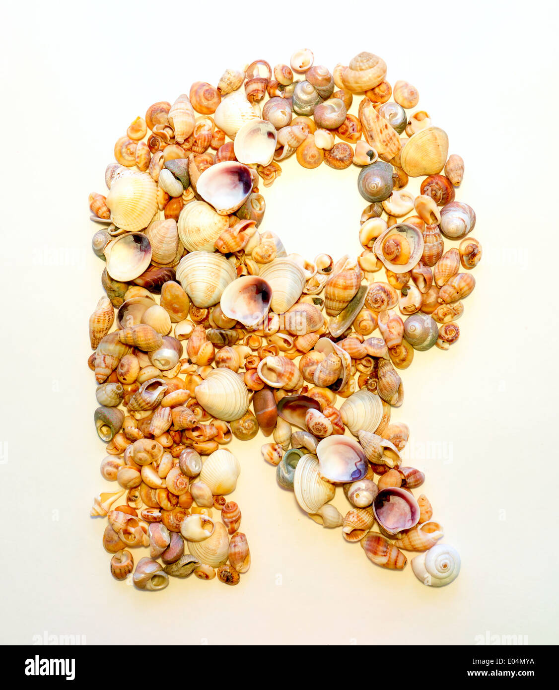 Alphabet letter r photography hi-res stock photography and images - Alamy