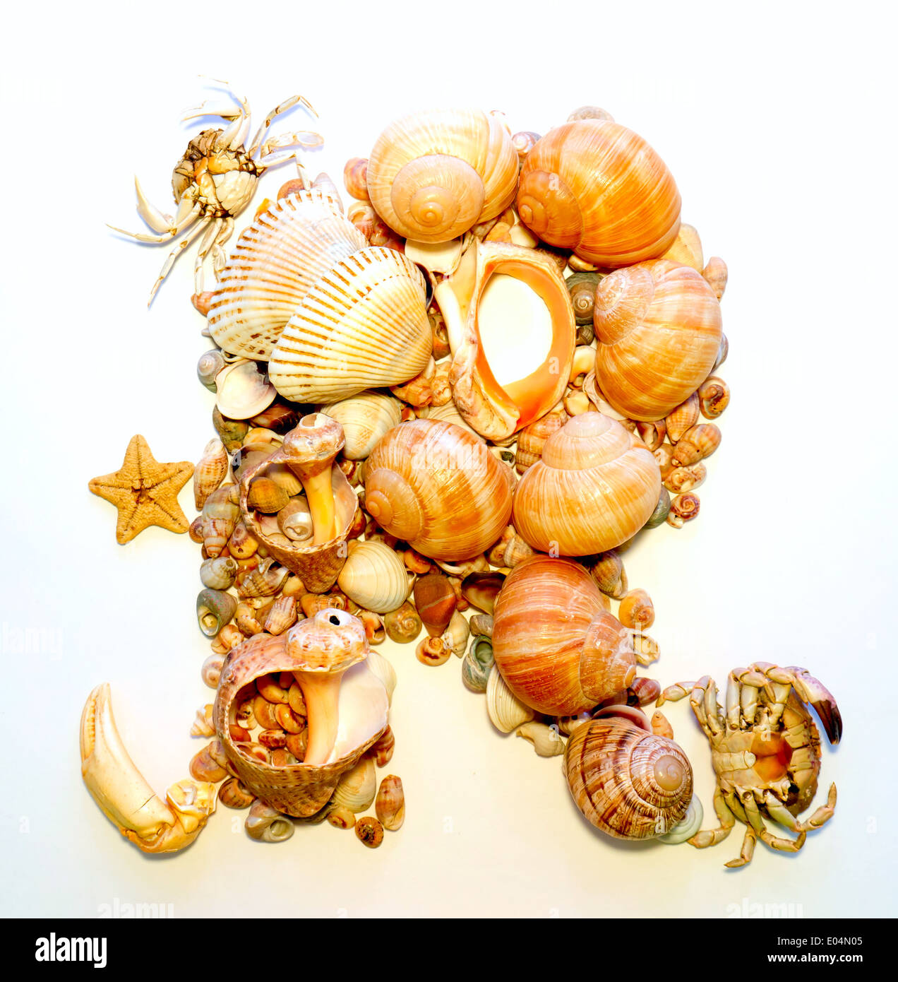 Alphabet letter r photography hi-res stock photography and images - Alamy