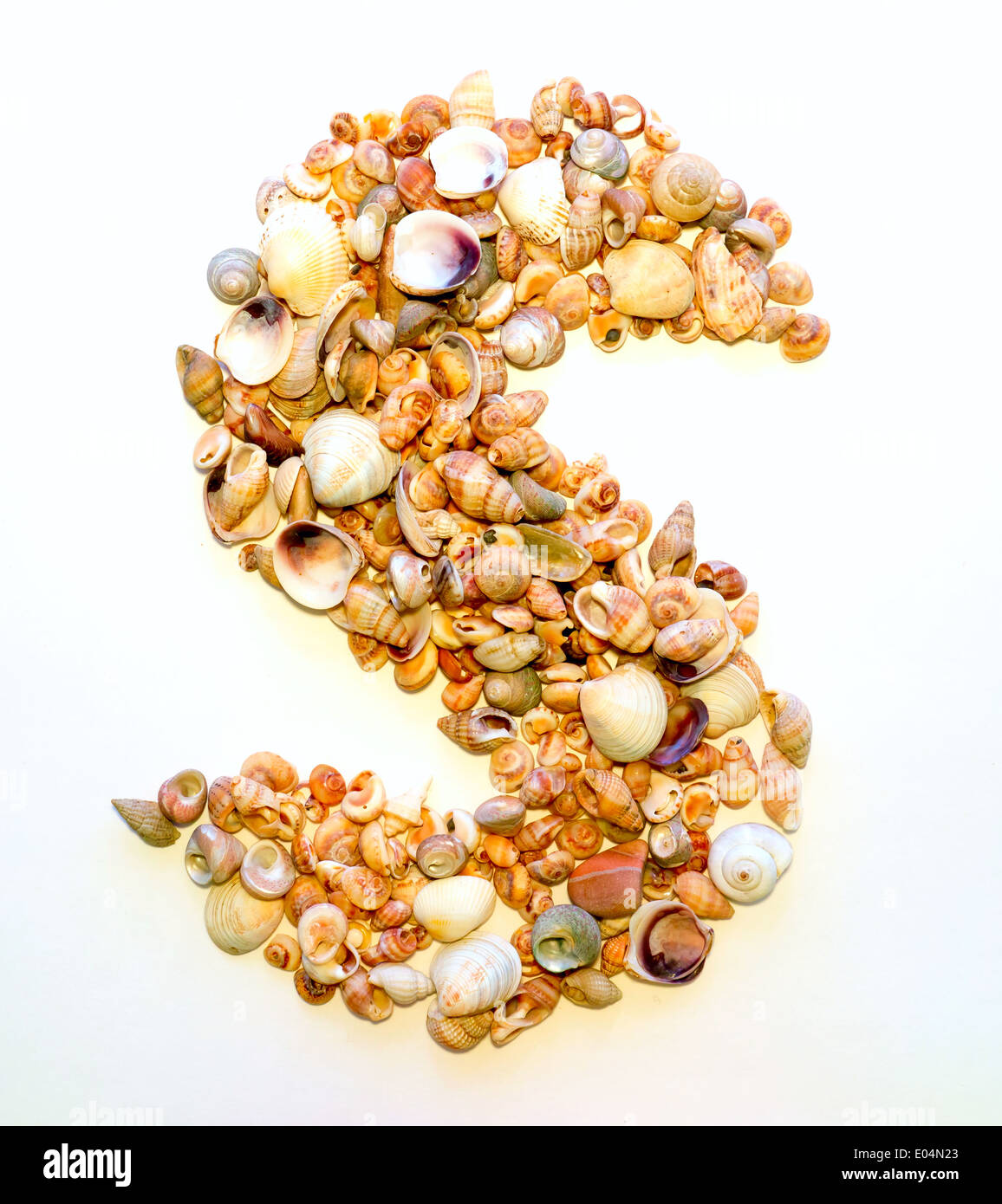 Isolated shell letter s white background hi-res stock photography and ...