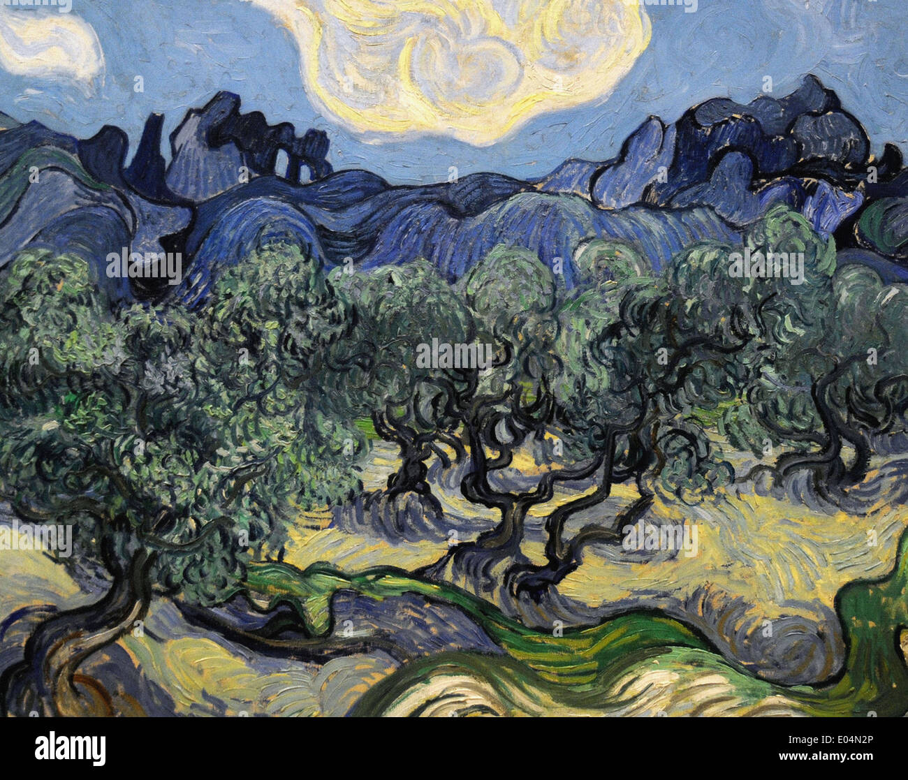 Vincent Van Gogh The Olive Trees Stock Photo - Alamy