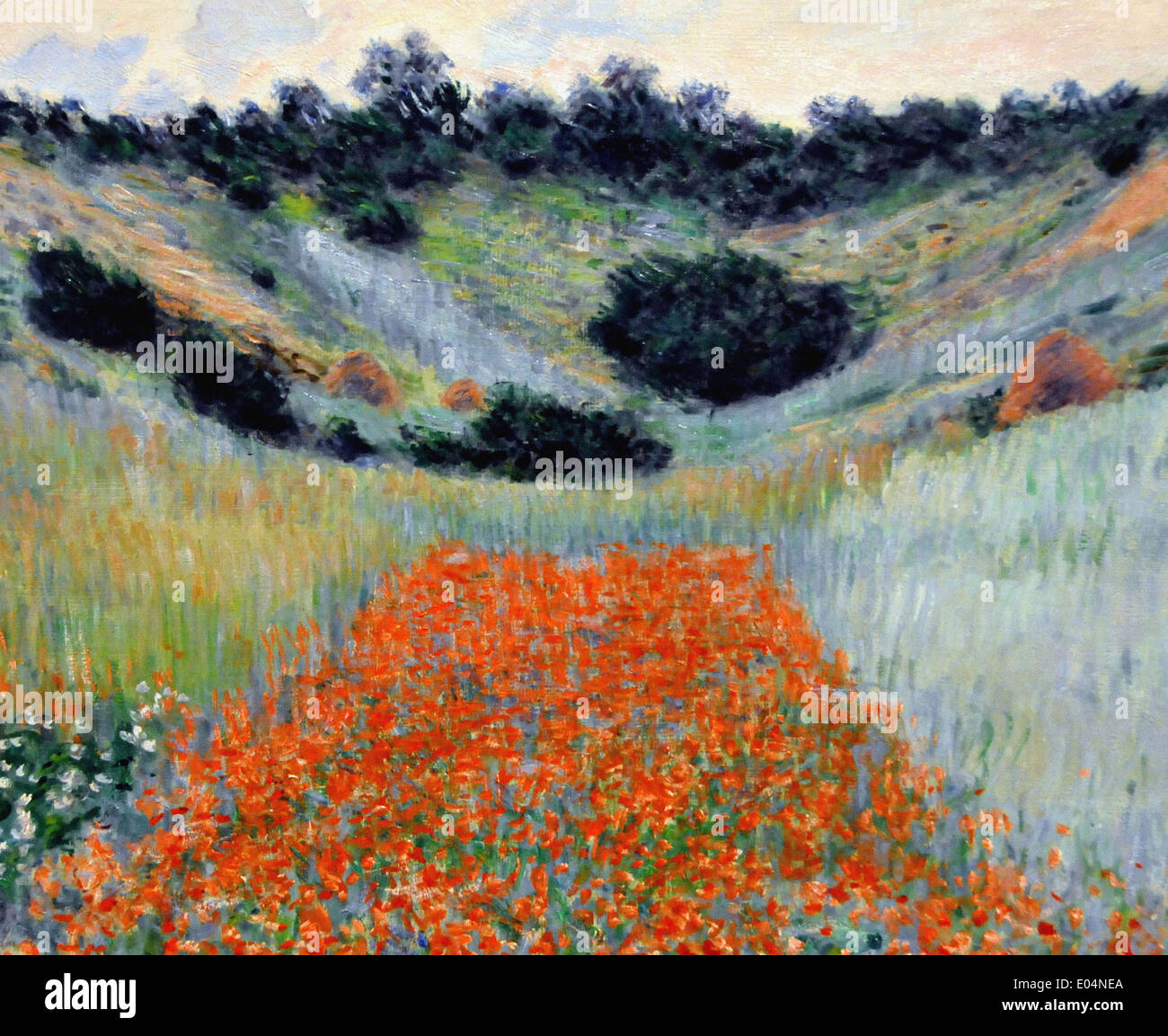 Claude Monet Poppy Field in Hollow near Giverny Stock Photo - Alamy