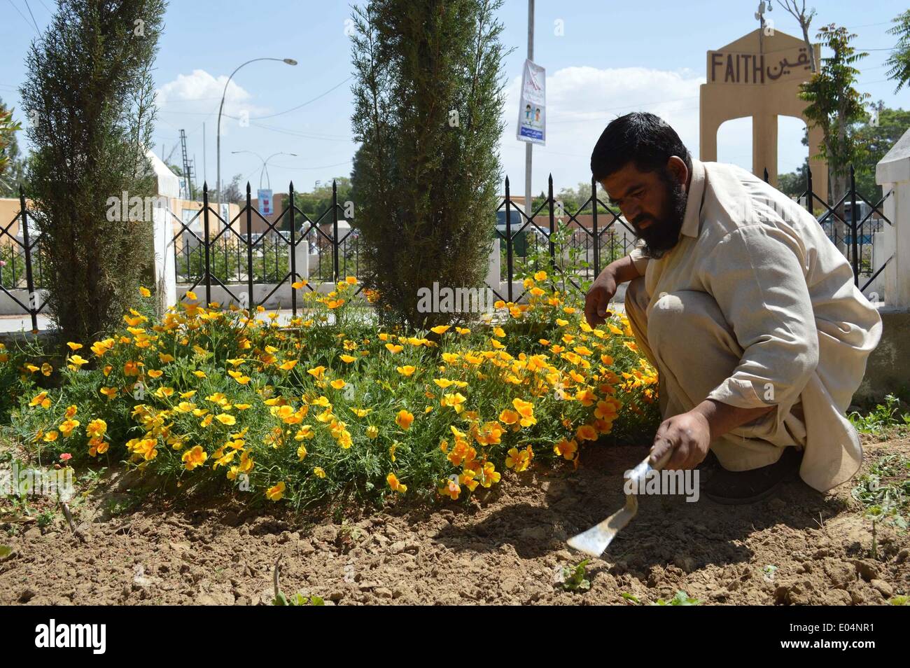 Quetta. 2nd May, 2014. A gardener works in a garden in southwest ...