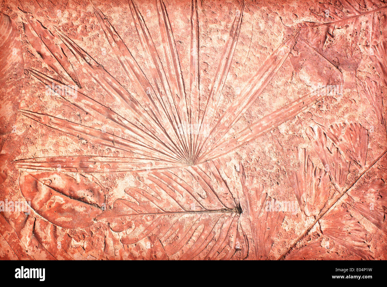 marks of leaf on the concrete pavement Stock Photo - Alamy