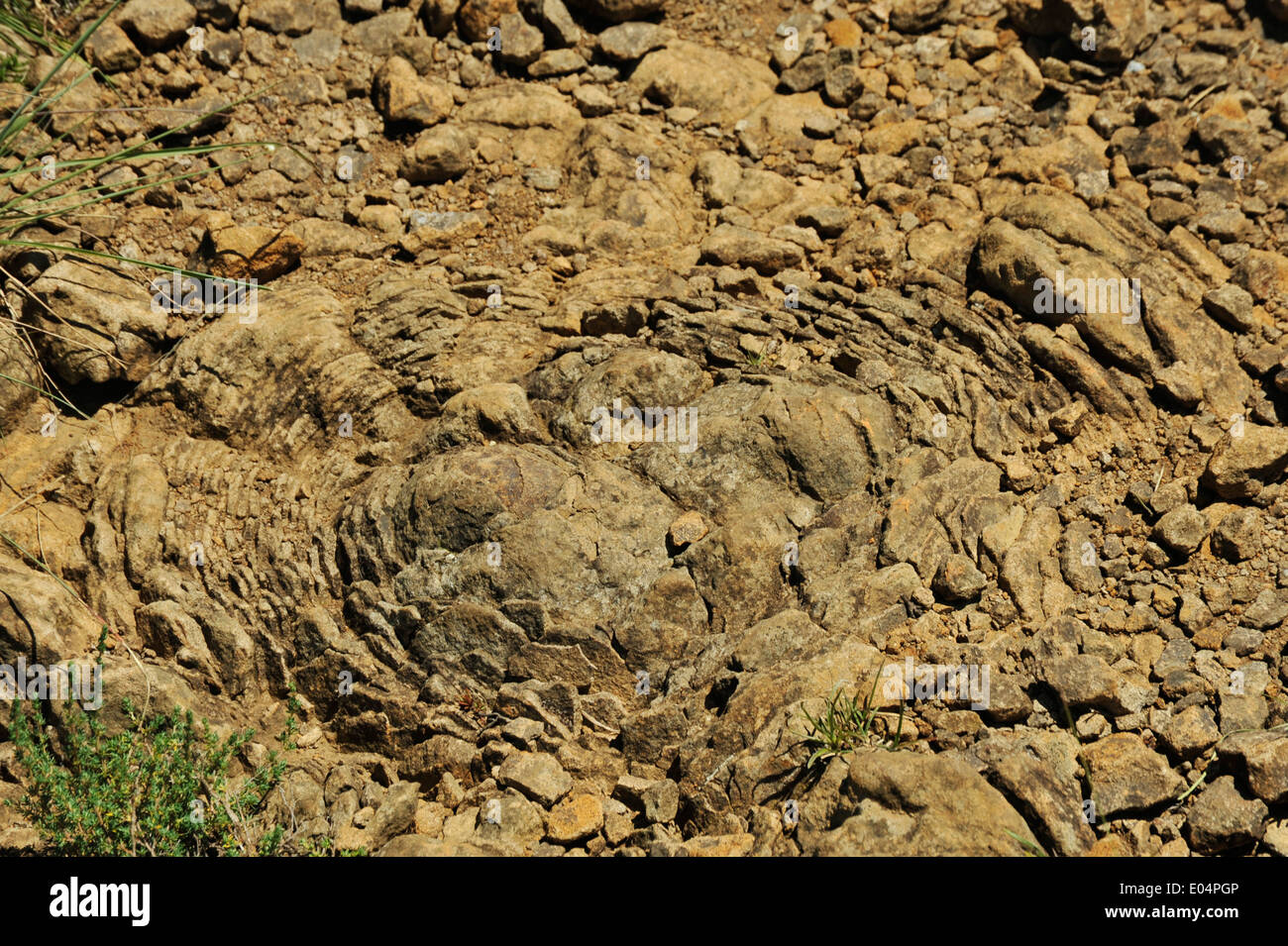 Concentric weathering hi-res stock photography and images - Alamy