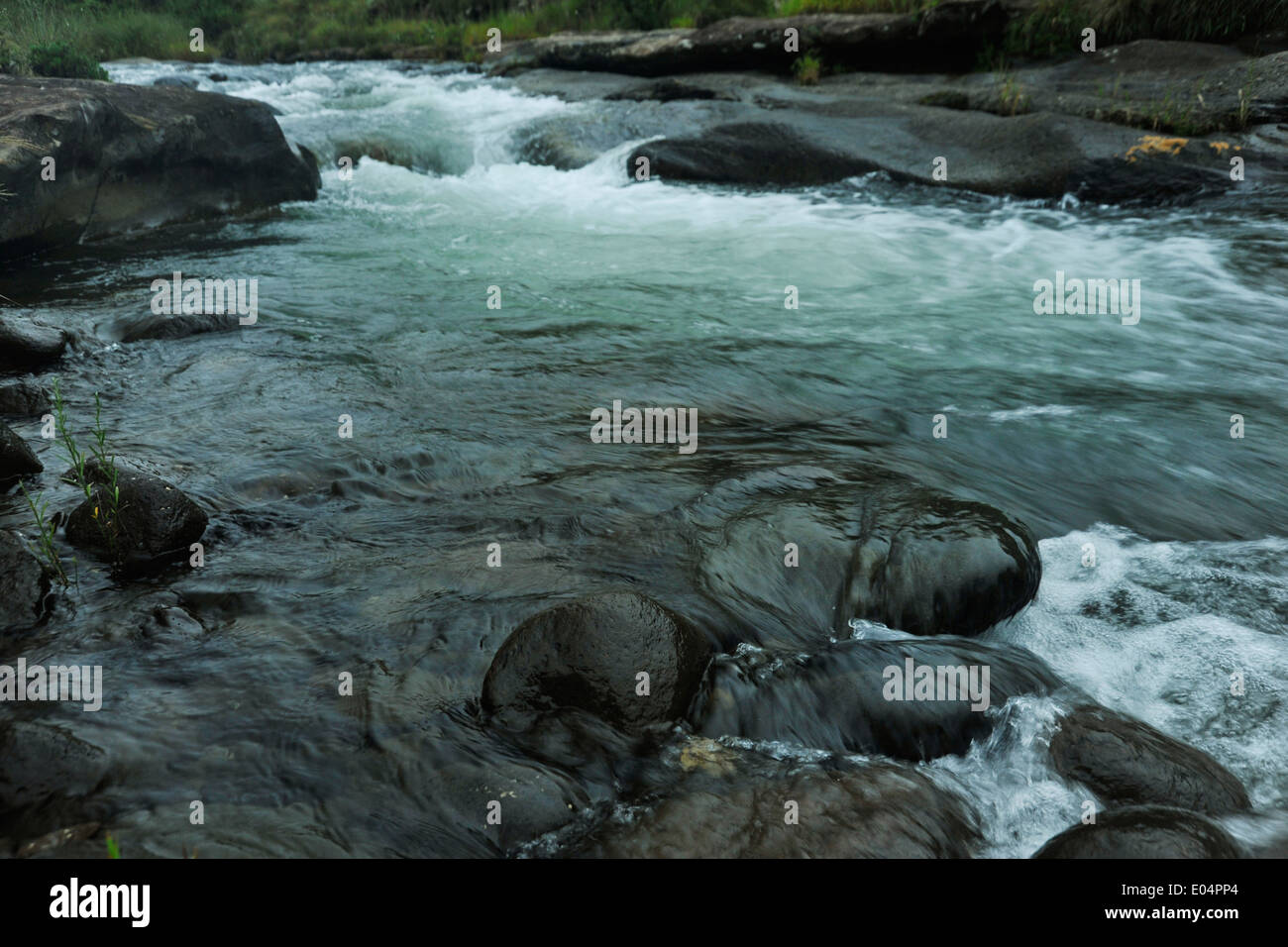 Giants Castle nature reserve, KwaZulu-Natal, South Africa, water ...