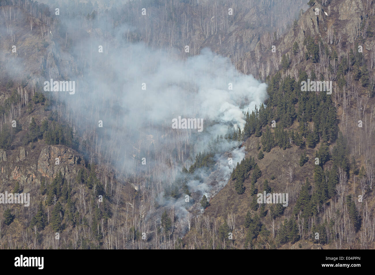 Forest fire dry trees hi-res stock photography and images - Alamy