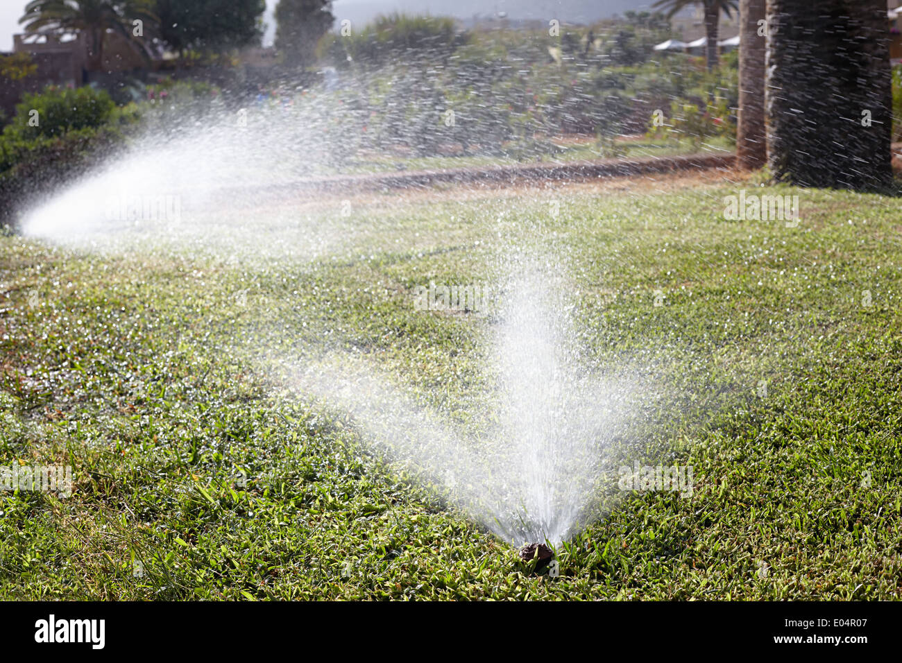 Automatic sprinkler watering system plants hi-res stock photography and ...