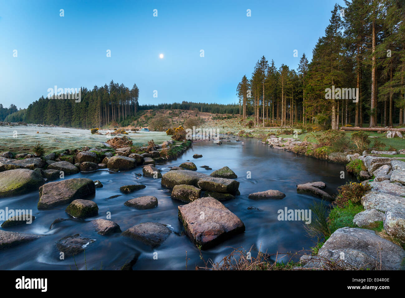 Twilight and moonlight at Bellever Forest on Dartmoor National Park in ...