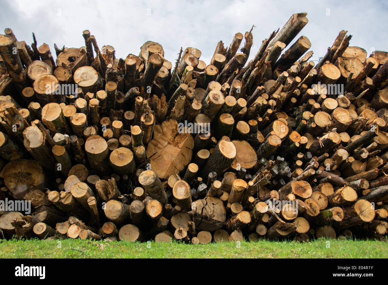 Lumberjacks lifting hi-res stock photography and images - Alamy