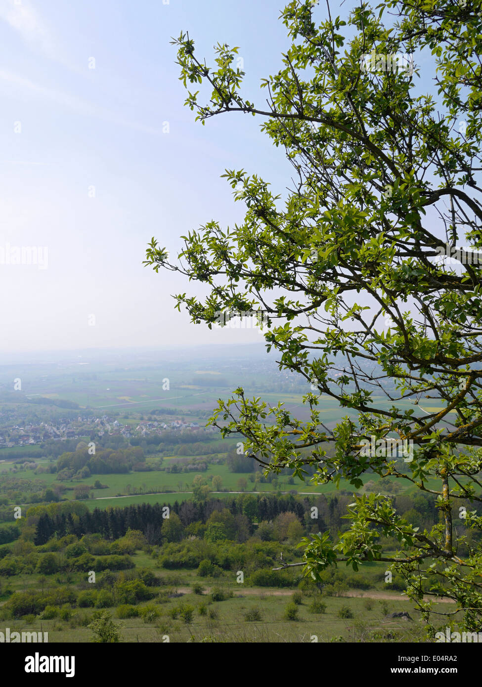 Branches spring tree village hi-res stock photography and images - Alamy