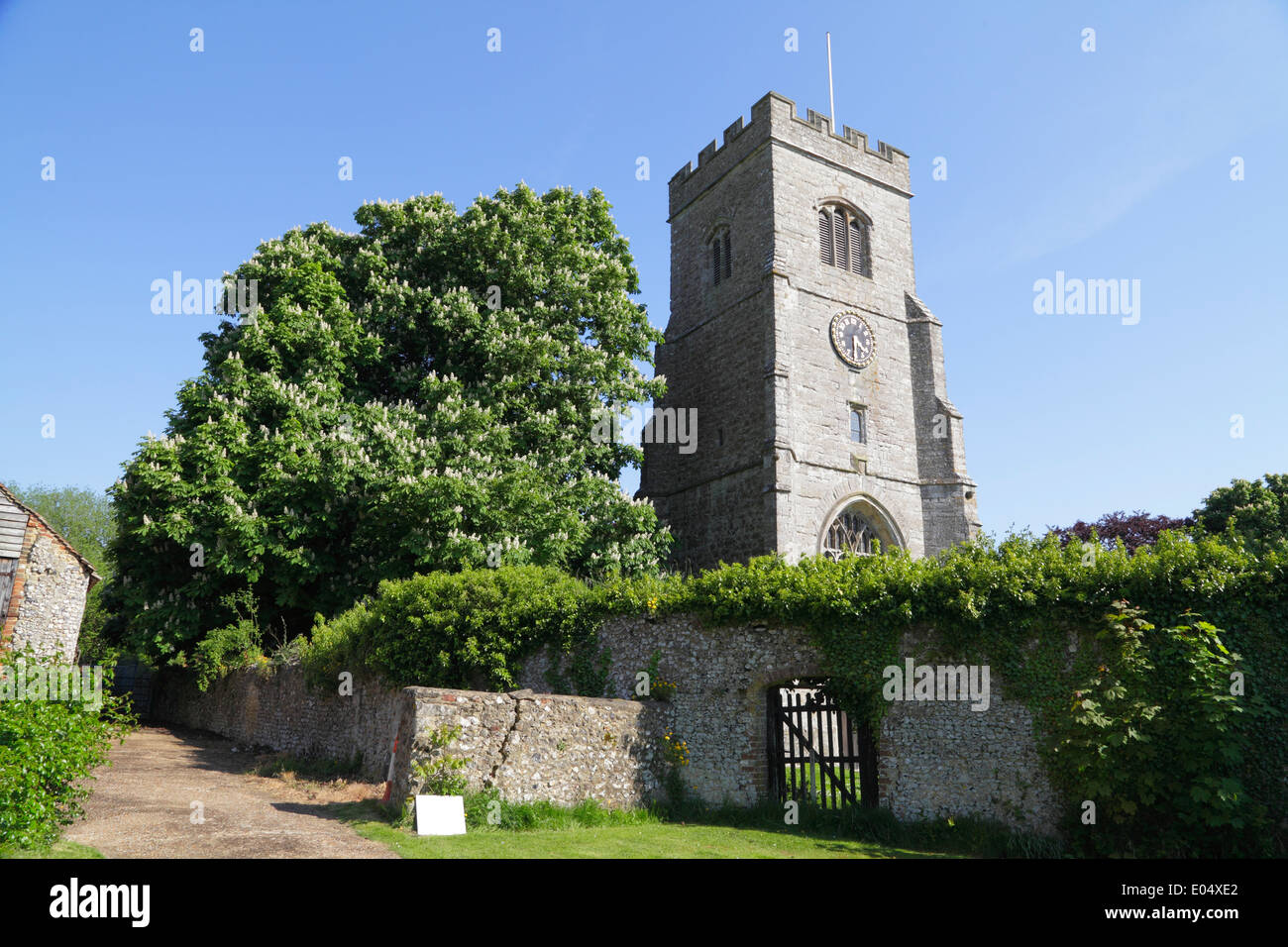 Horse Chestnut tree Charing Church Kent UK Stock Photo - Alamy