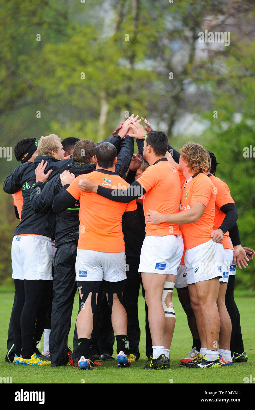 Springbok rugby team photo hi-res stock photography and images - Alamy