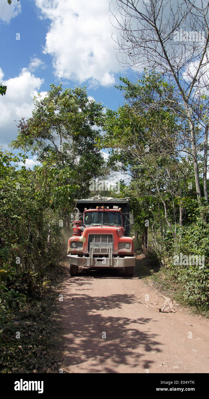 Heavy truck hi-res stock photography and images - Alamy