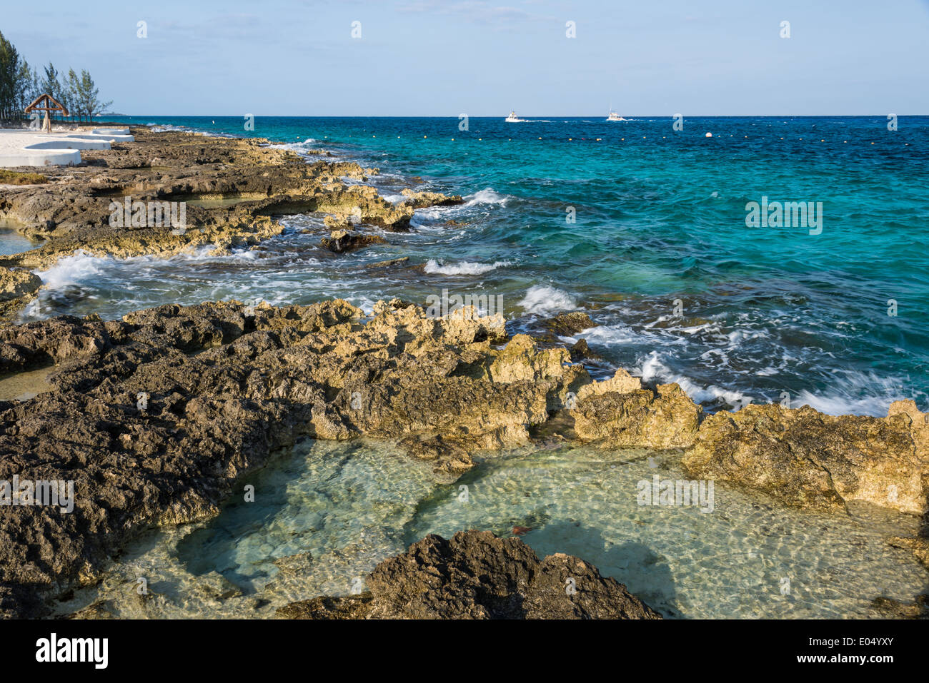 Tidal pool among reef rocks along coast. Cozumel, Mexico Stock Photo ...