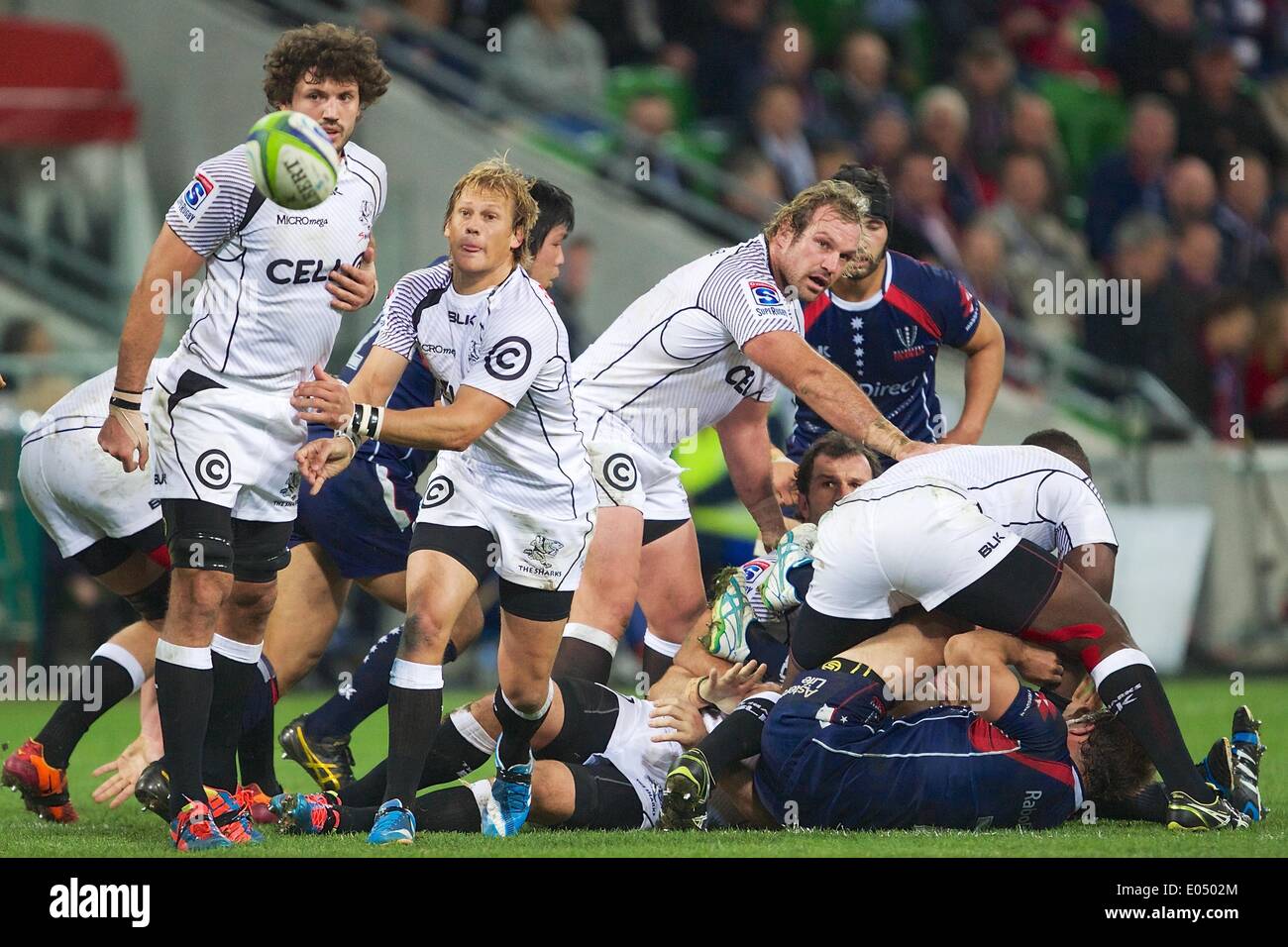 Sharks rugby australia hi-res stock photography and images - Alamy