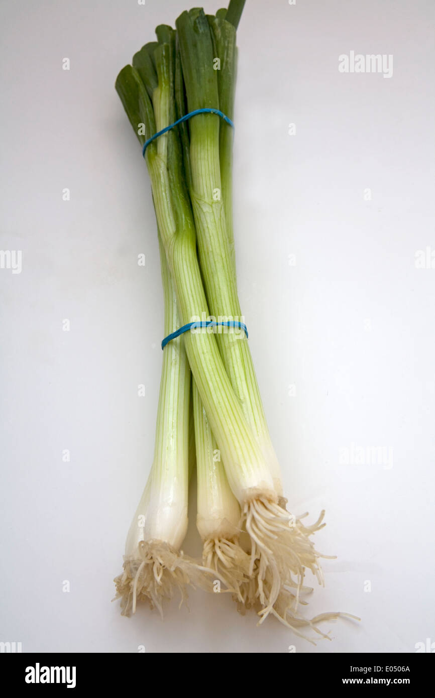 Bunch of spring onions hi-res stock photography and images - Alamy