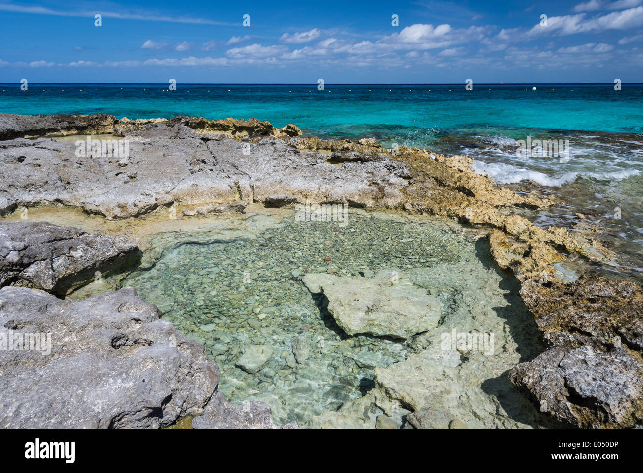 Tidal pool among reef rocks. Cozumel, Mexico Stock Photo - Alamy