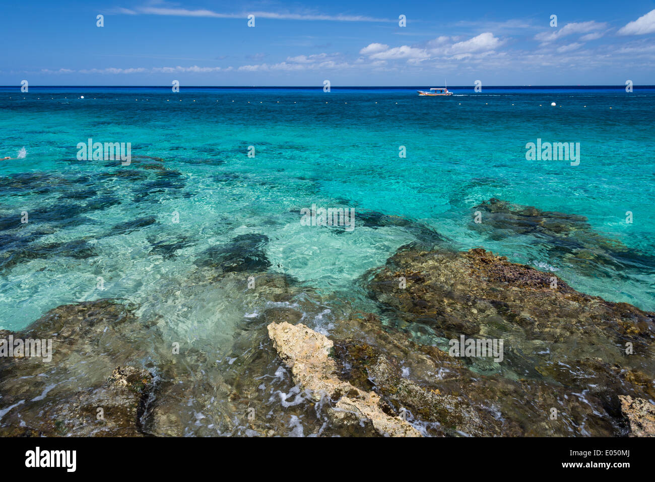 Reef limestone hi-res stock photography and images - Alamy