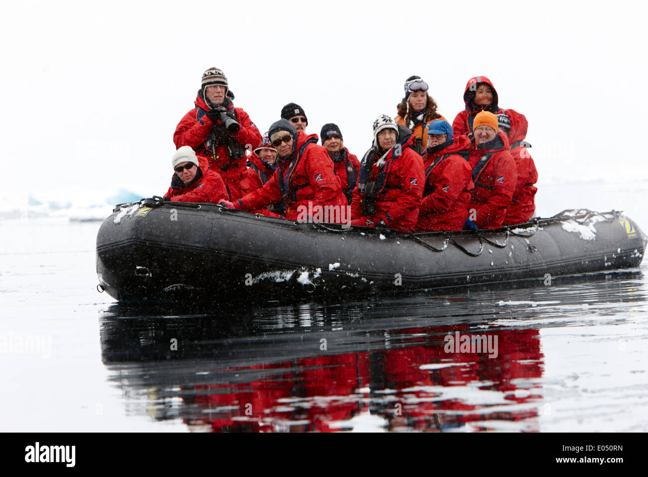 passengers on board a zodiac cruise on excursion in antarctica Stock ...
