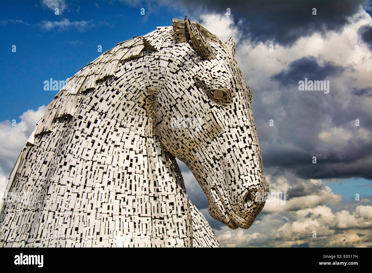 Kelpie horse hi-res stock photography and images - Alamy