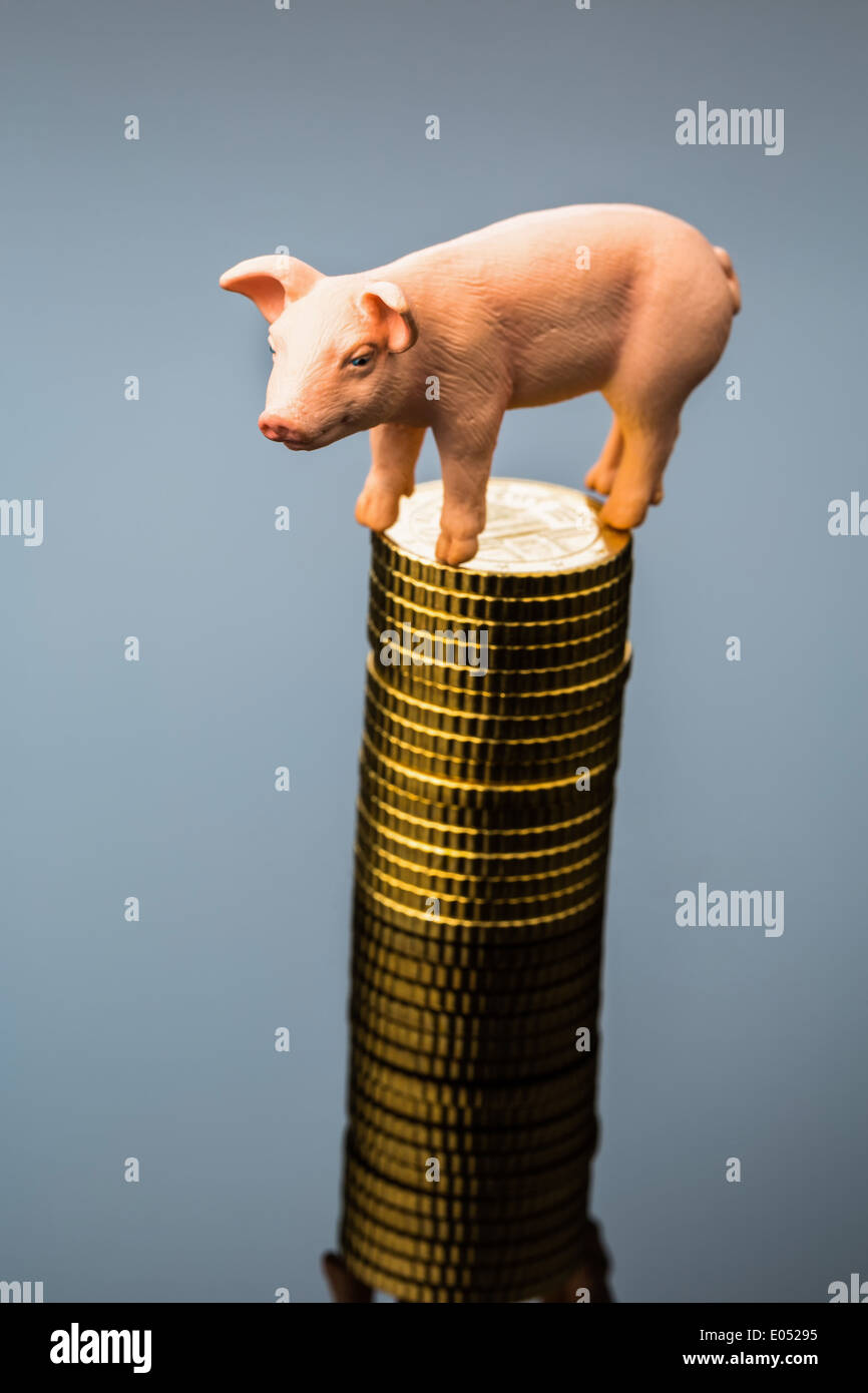 A pig stands on a pile of coins. Rising costs for feed in the ...
