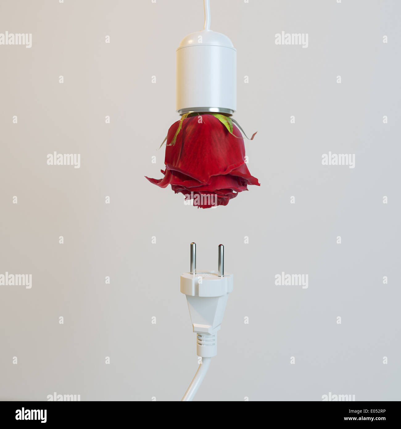 Socket With Roses Bulb (Conceptual Energy Picture Stock Photo - Alamy