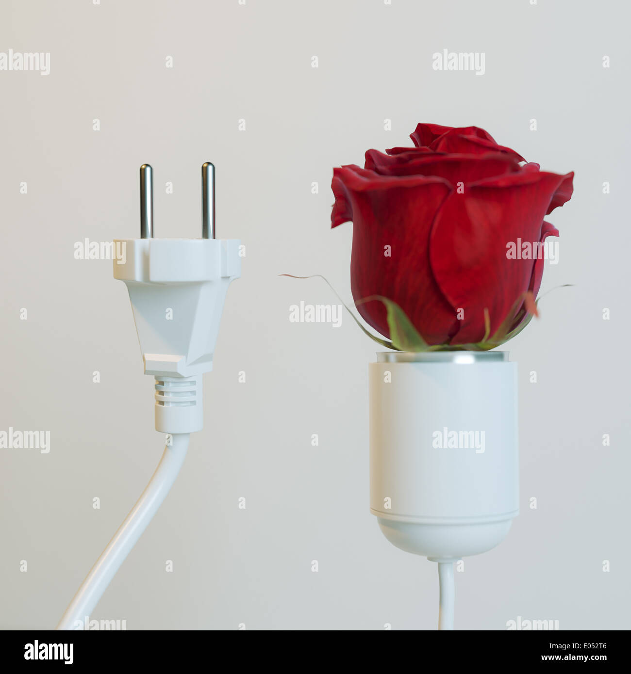 Socket With Roses Bulb (Conceptual Energy Picture Stock Photo - Alamy