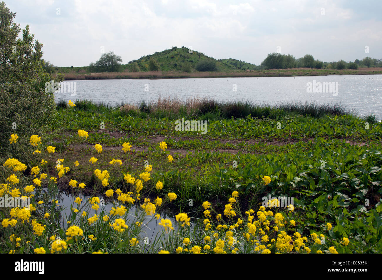 Middleton lakes hi-res stock photography and images - Alamy