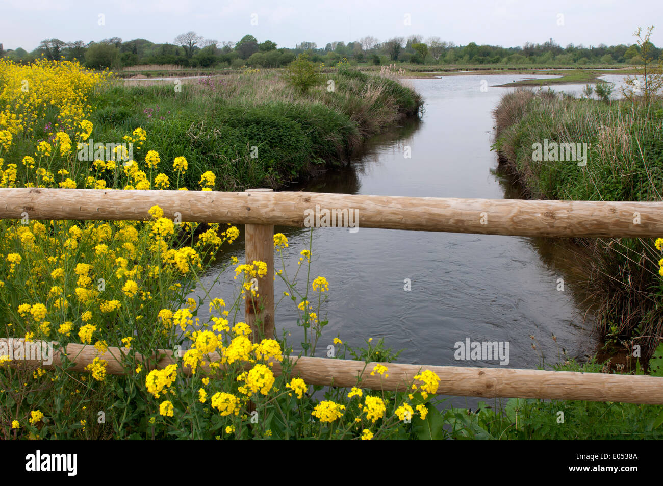 Rspb nature reserves england hi-res stock photography and images - Alamy