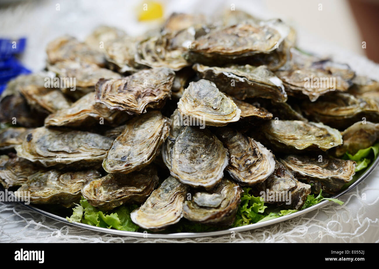 Stock photo of Oysters Stock Photo - Alamy
