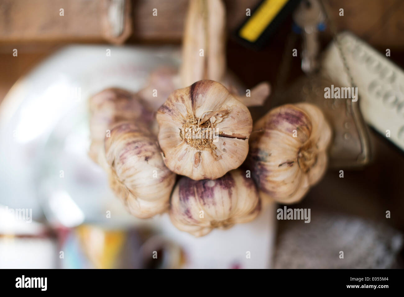Stock photo of cloves of garlic hanging up Stock Photo - Alamy