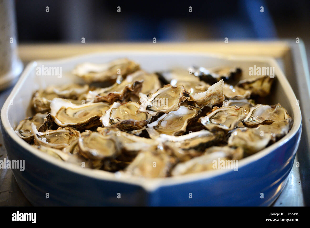 Stock photo of Oysters Stock Photo - Alamy