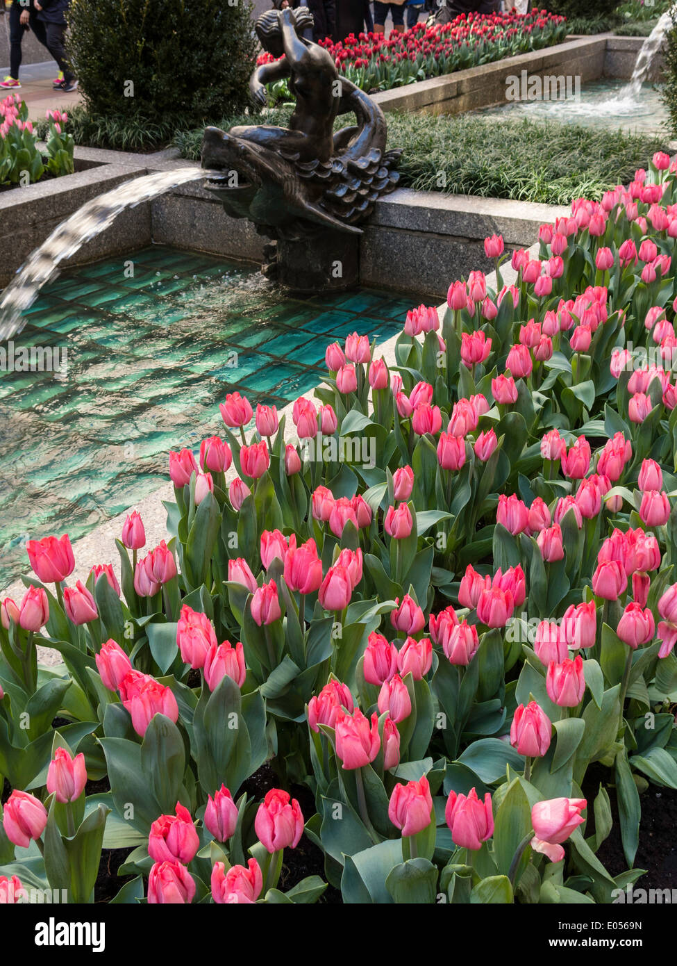 Rockefeller center plaza promenade hi-res stock photography and images ...