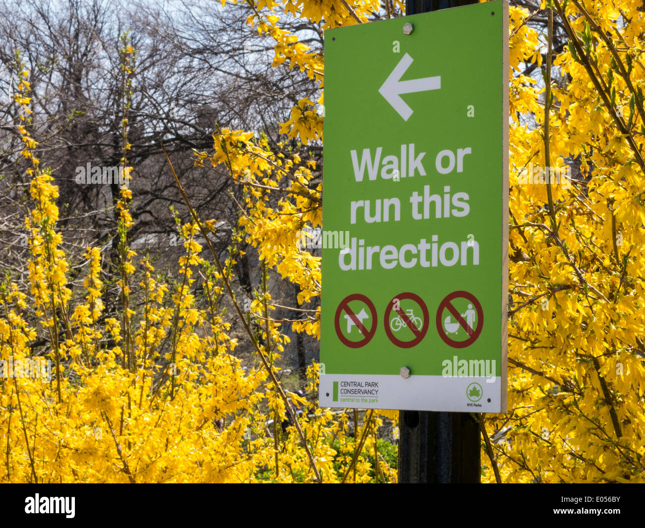 Reservoir Stephanie and Fred Shuman Running Track Sign, Central Park ...