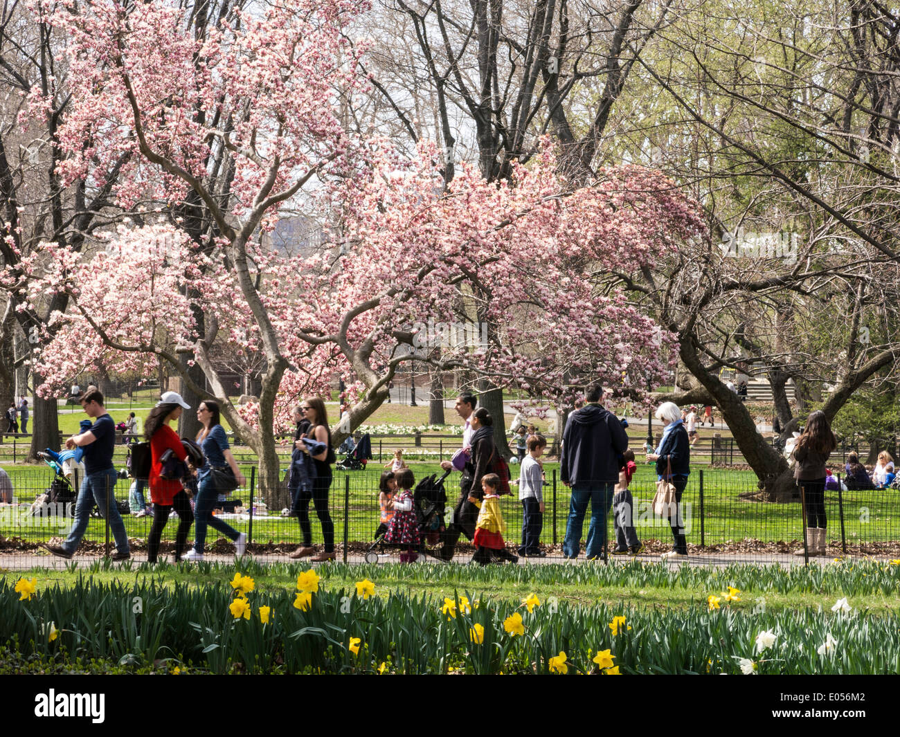 People Enjoying A Spring Day in Central Park, NYC, USA Stock Photo - Alamy